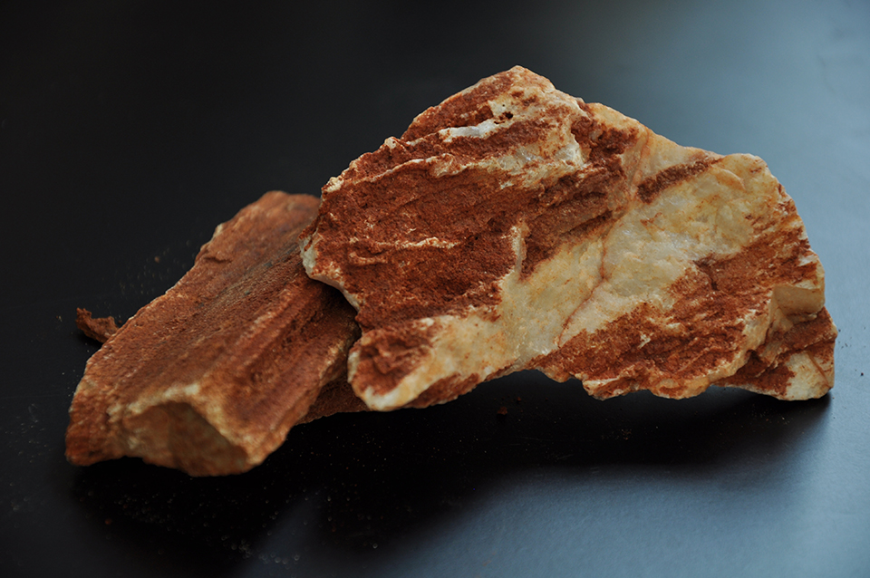 Chicken Bone Stone - Buy landscaping garden chinese stone, natural rare ...